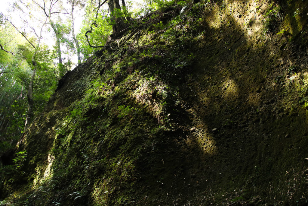 EIMONS コラムニスト紹介 | ページ 3 | EIMONS®︎[エイモンズ]/ 高知メディア