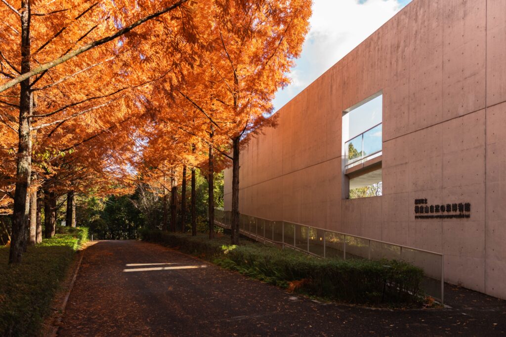 横倉山自然の森博物館｜メタセコイアと安藤建築。森に佇むアートのような博物館 | EIMONS®︎[エイモンズ]/ 高知メディア